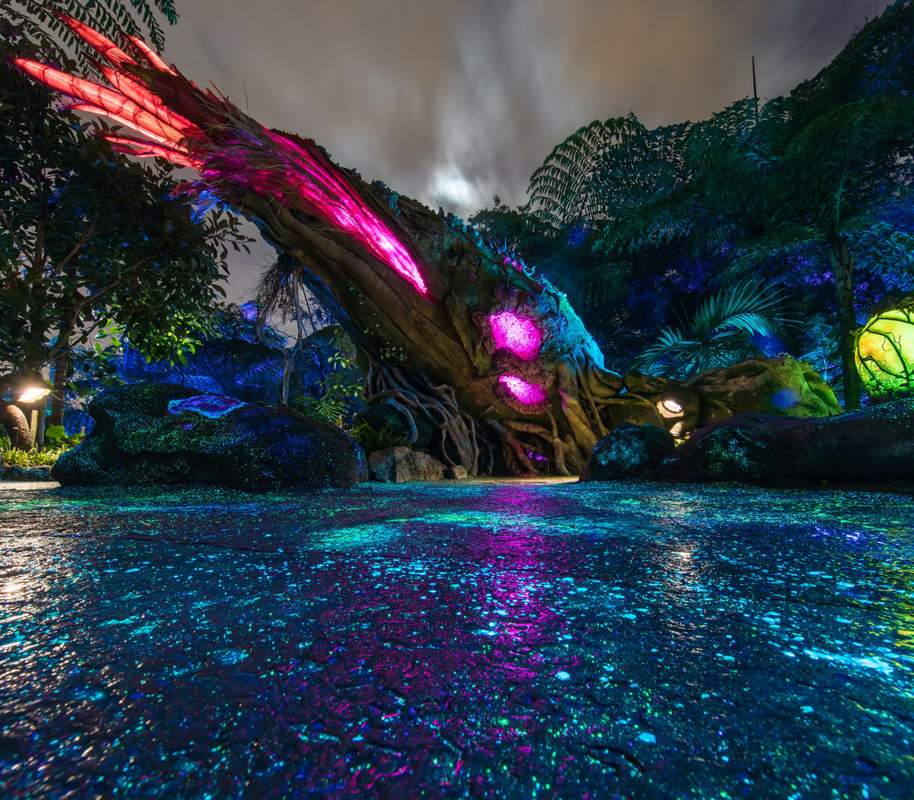 Animal Kingdom – Main Street Pop In